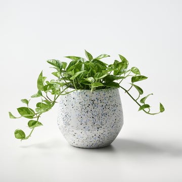 ハナロロ ビーズクッションのお店 – hanalolo